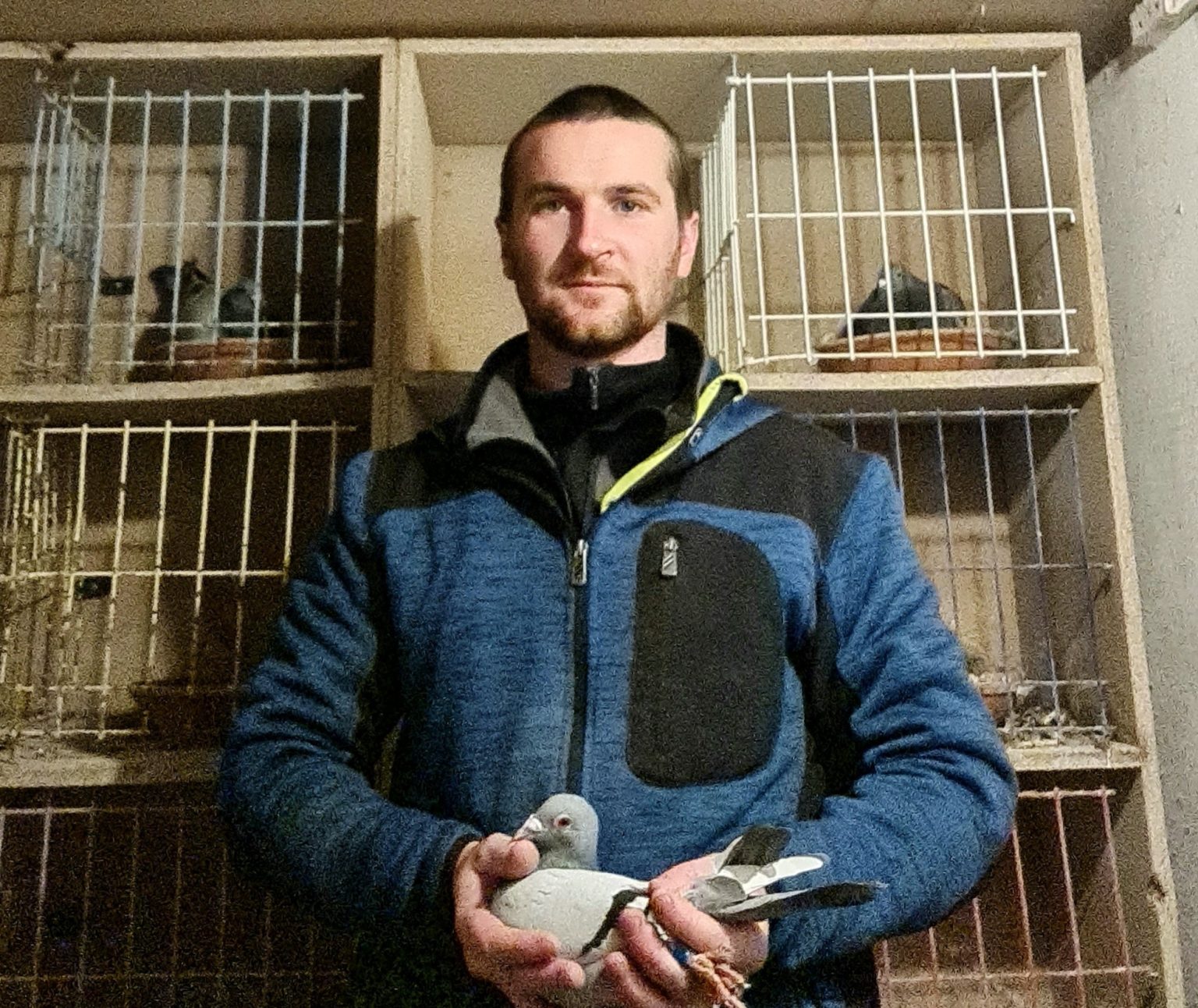 Pré-Vente : Groupement de St Omer – Francolomb