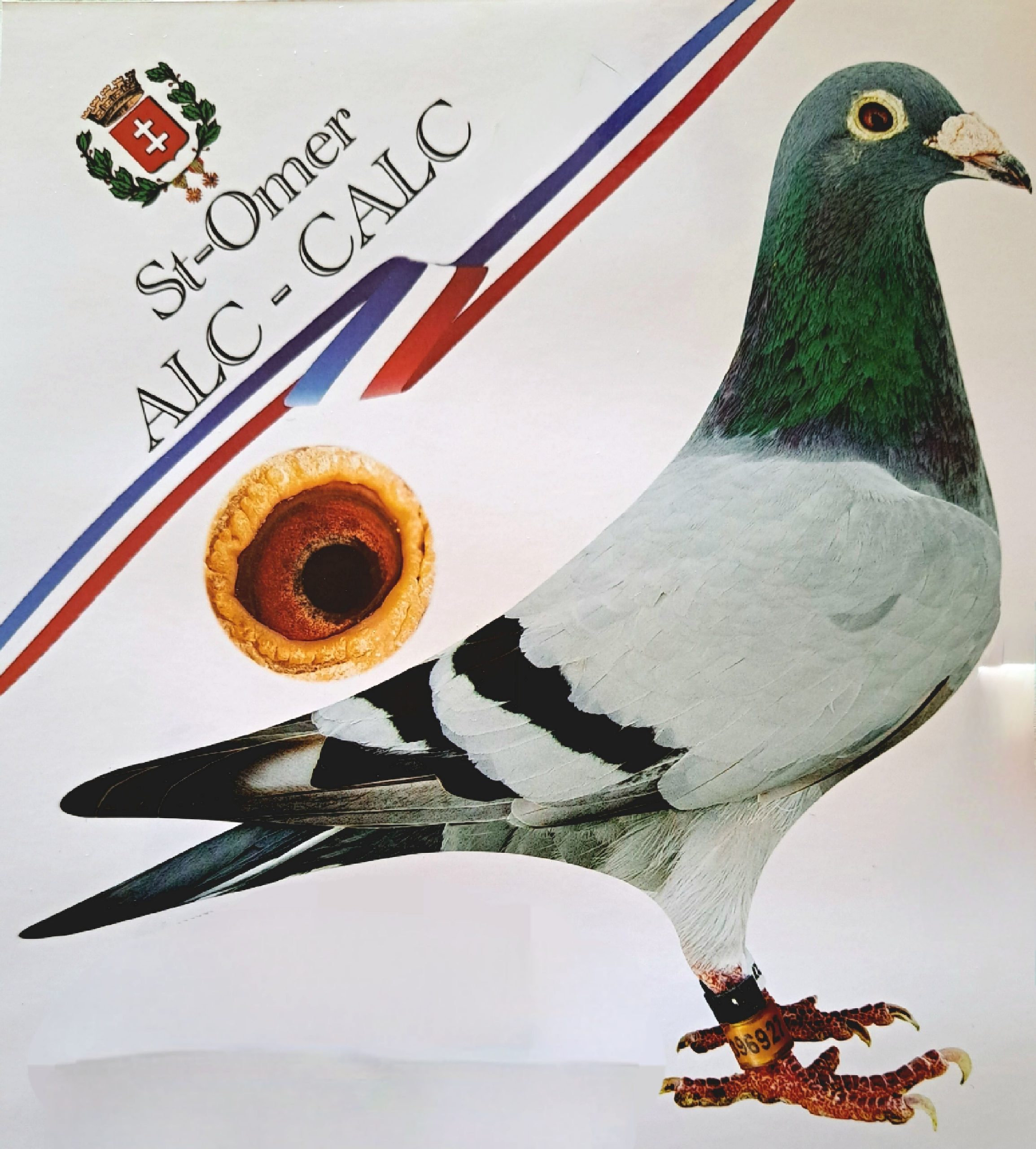 Pré-Vente de Bons : ALC ST OMER – Francolomb