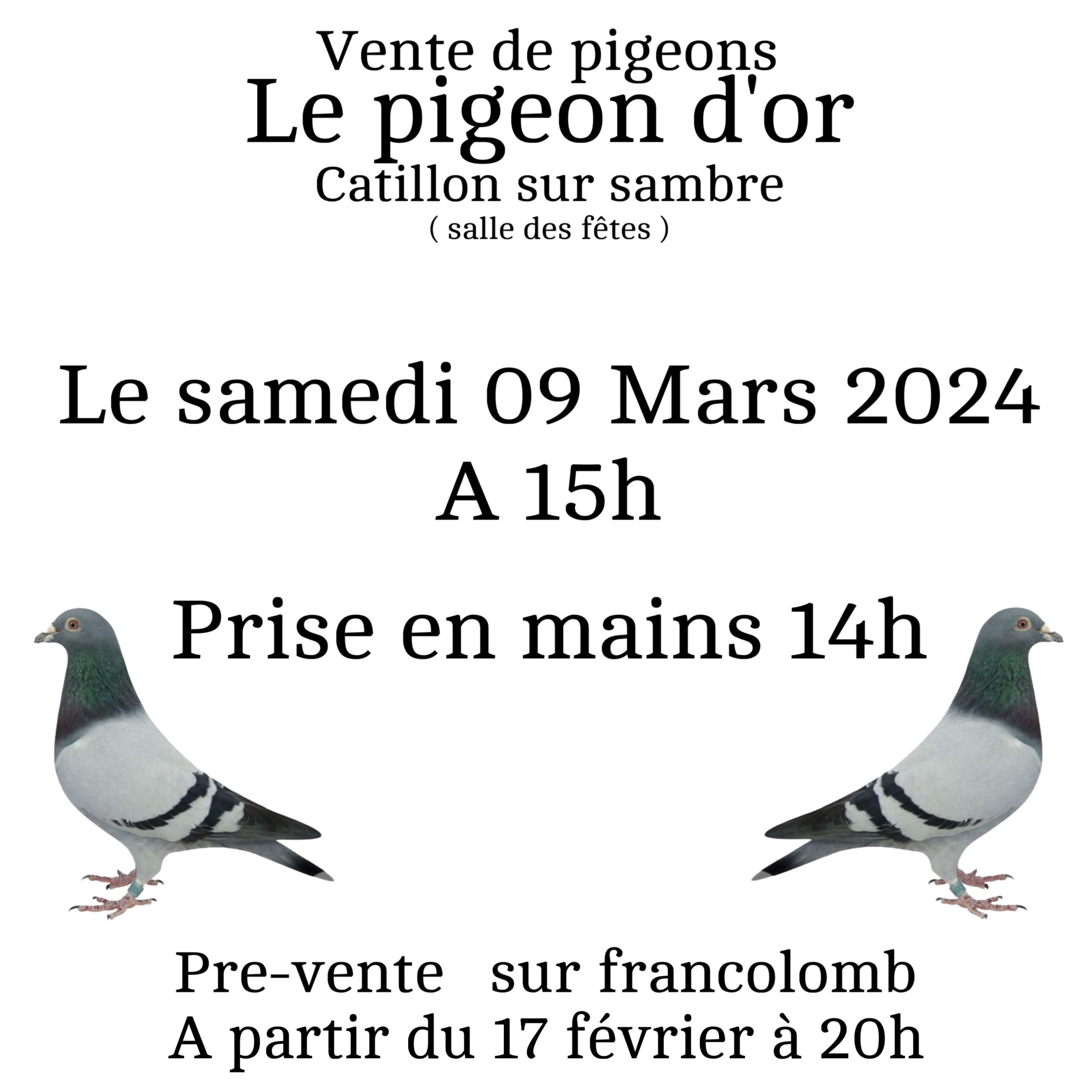Pré-Vente : Le Pigeon d’Or CATILLON SUR SAMBRE – Francolomb