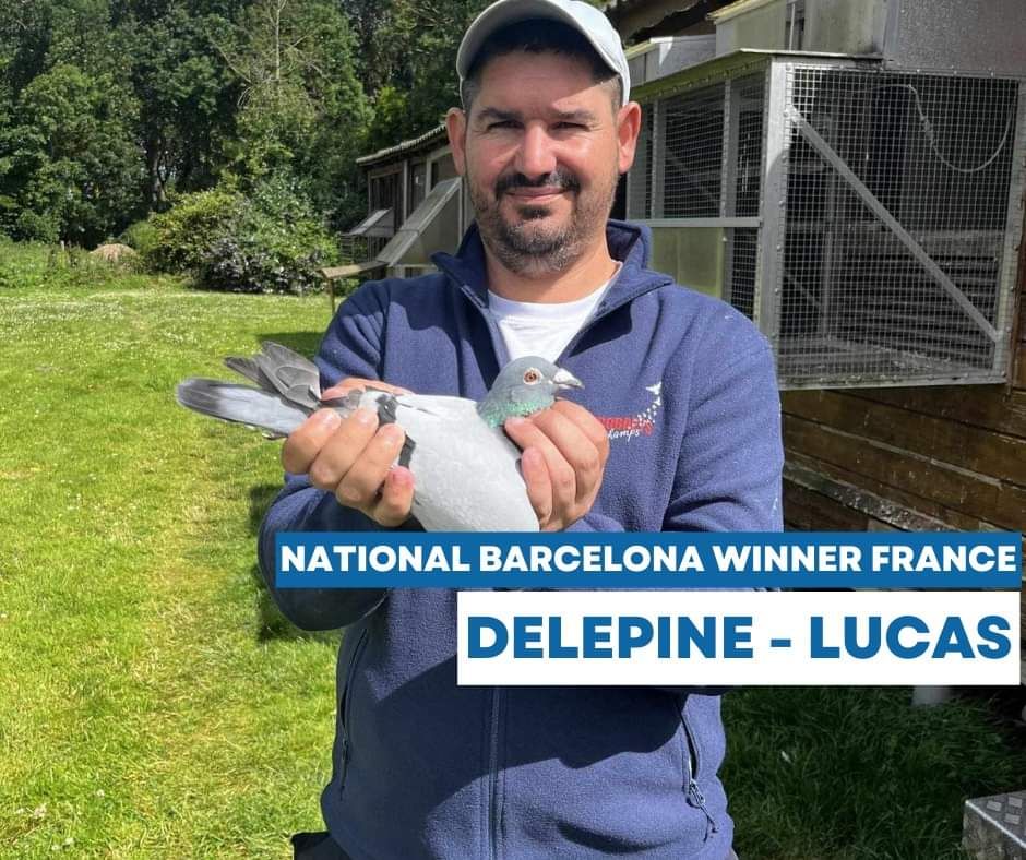 Pré-Vente de Bons : Groupement Colombophile de CALAIS – Francolomb