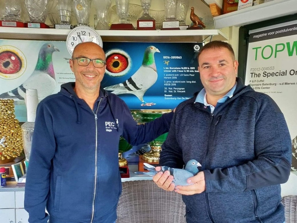 Vente de Bons : Groupement Colombophile de l’Orne – Francolomb