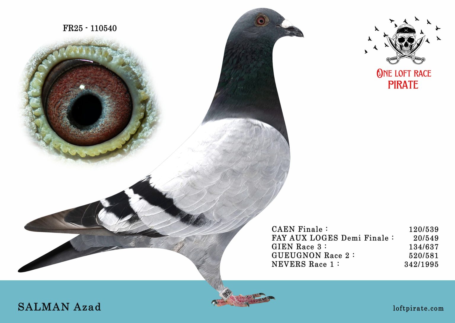 N° 21 : FR-2025-110540 F – SALMAN Azad – Francolomb