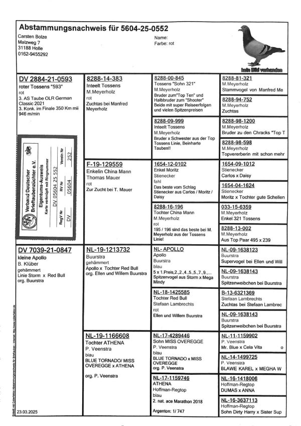 N° 56 : DV-05604-25-552 F « aile cassée ne peux pas voler » – BOLZE Carsten – Francolomb