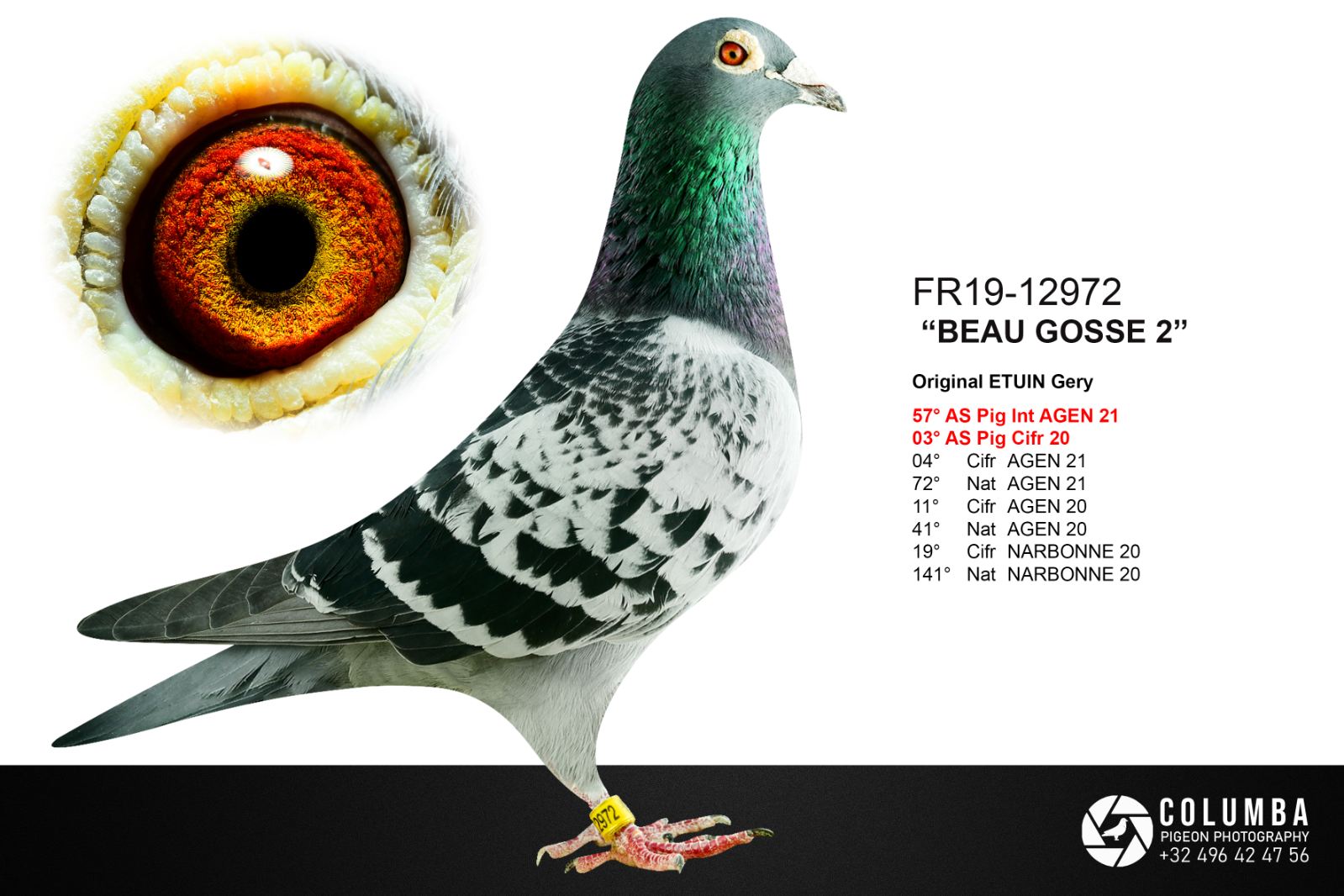 N° 13 : Beaucamps Alexandre (Pont St-Maxence 60) – Francolomb