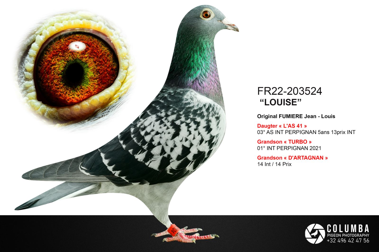 N° 13 : Beaucamps Alexandre (Pont St-Maxence 60) – Francolomb