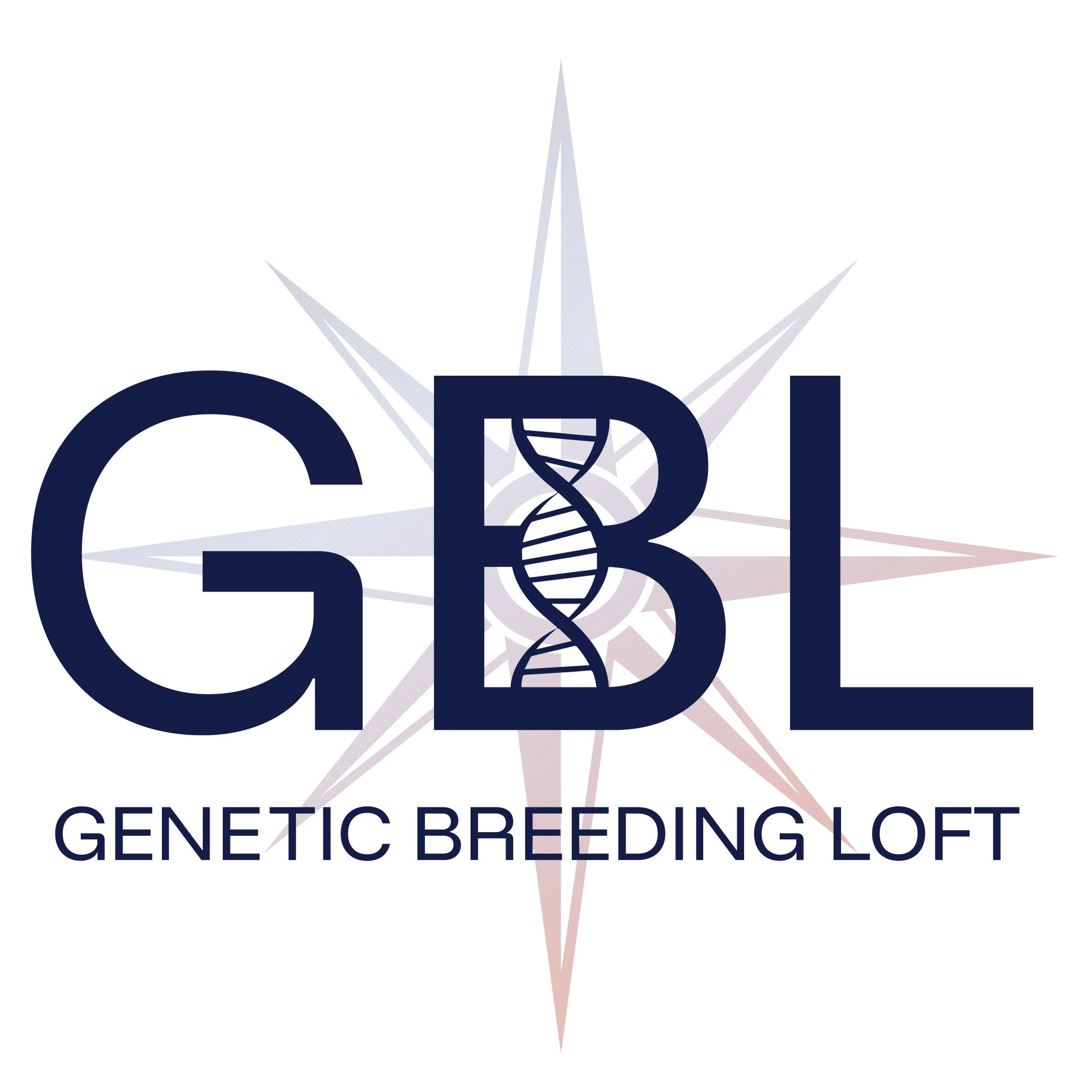 Vente : GBL – Genetic Breeding Loft – Francolomb
