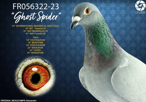 N° 13 : Beaucamps Alexandre (Pont St-Maxence 60) – Francolomb