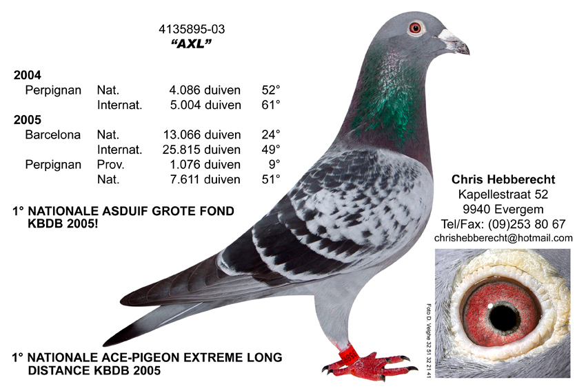 Hadrien Marsille (BE – Ophain) : Champion National Jeunesse RCFB 2021 ...