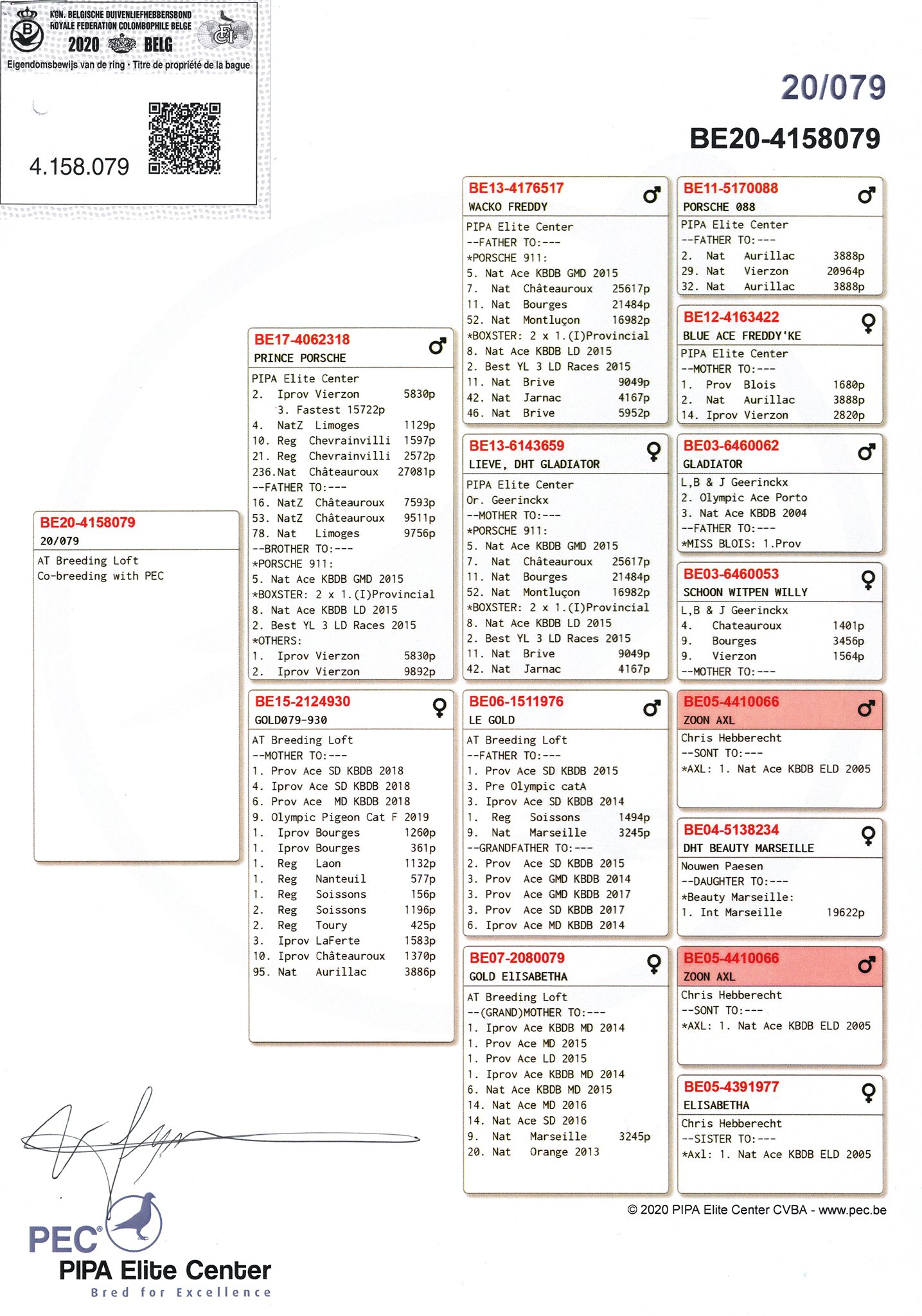 Hadrien Marsille (BE – Ophain) : Champion National Jeunesse RCFB 2021 ...
