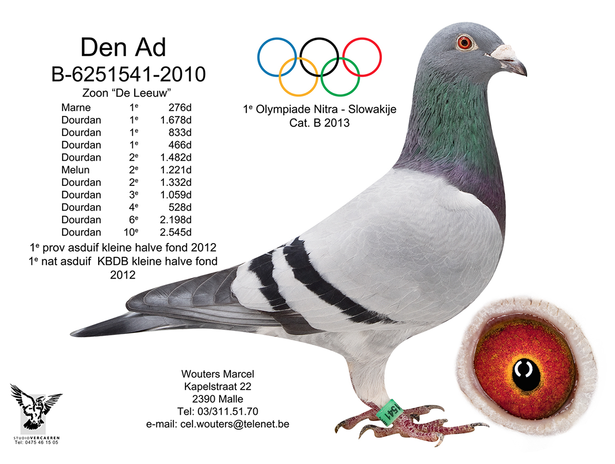 Hadrien Marsille (BE – Ophain) : Champion National Petit 1/2 Fond RFCB ...